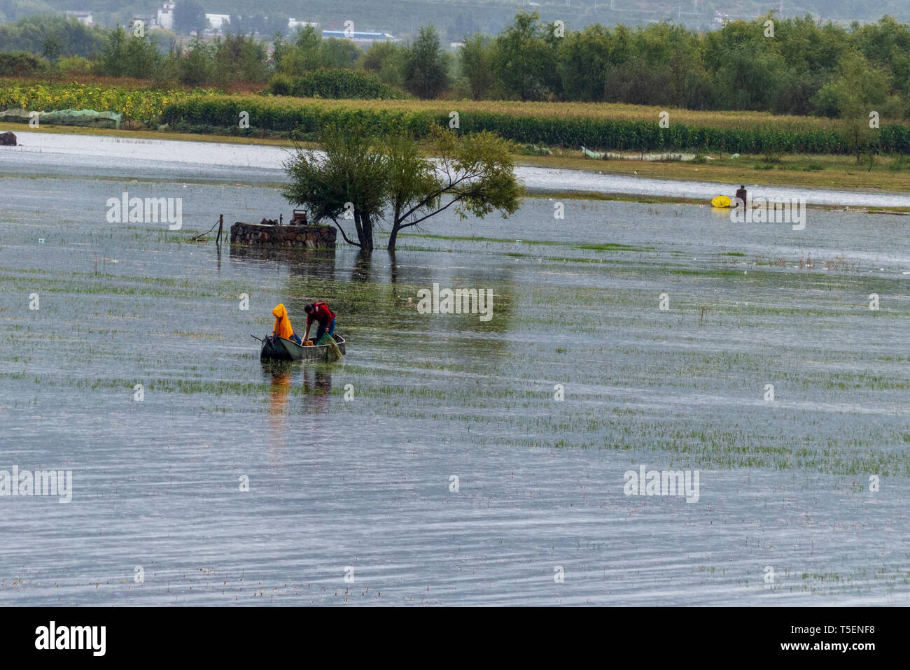 Chinese fishermen boat hi-res stock photography and images - Alamy
