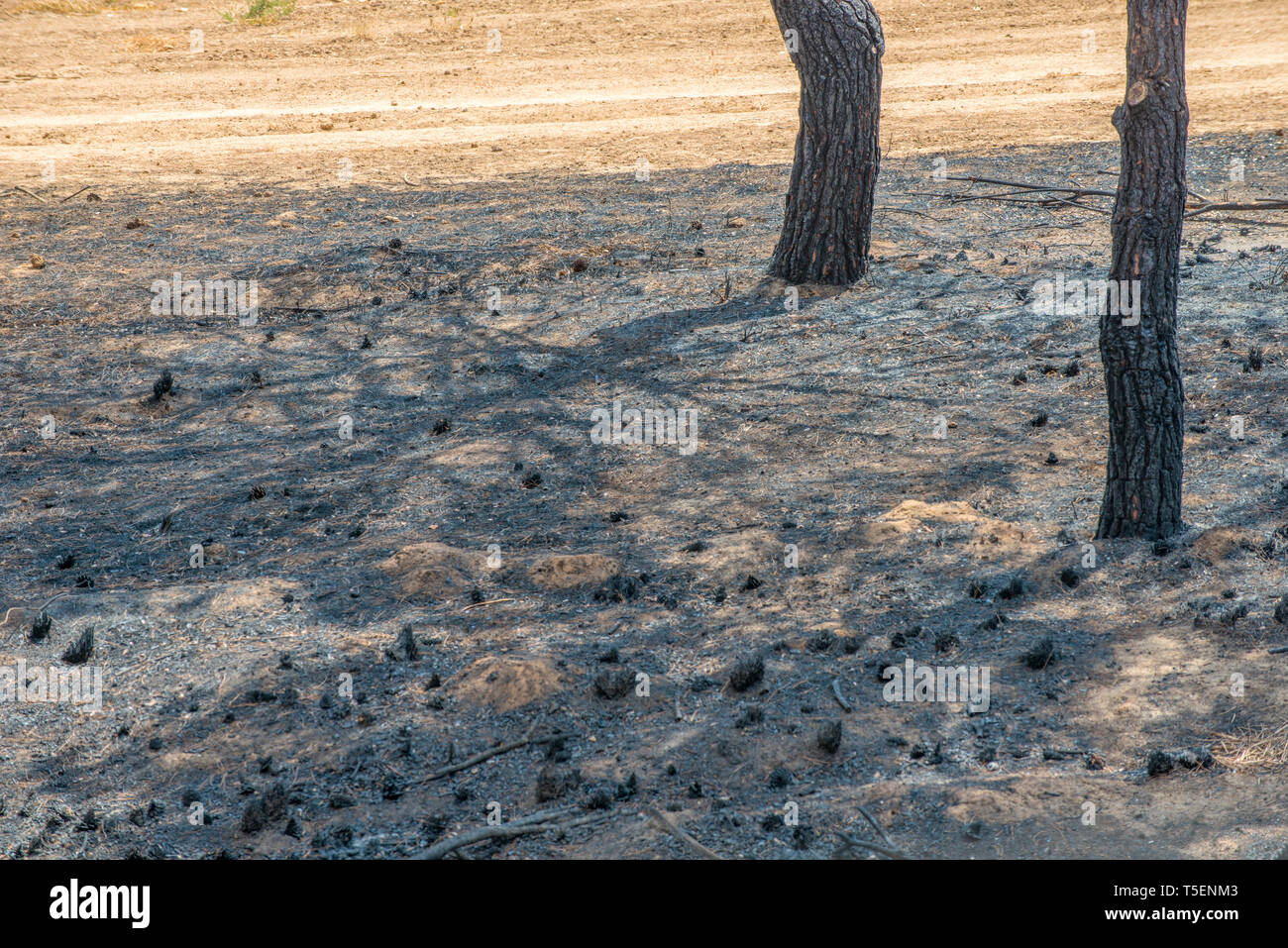 Fire cloth hi-res stock photography and images - Alamy