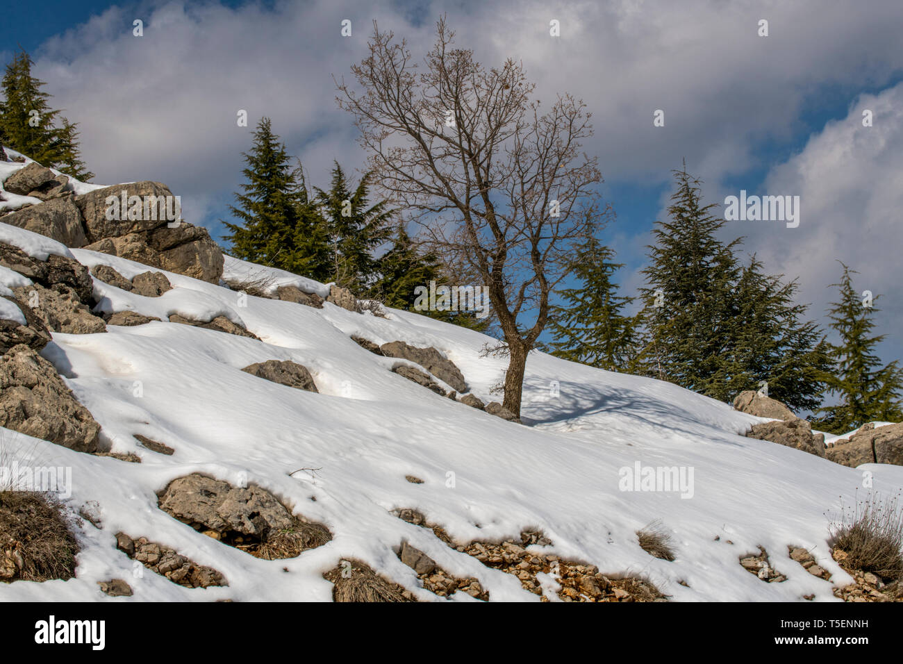 Snowscapes hi-res stock photography and images - Alamy