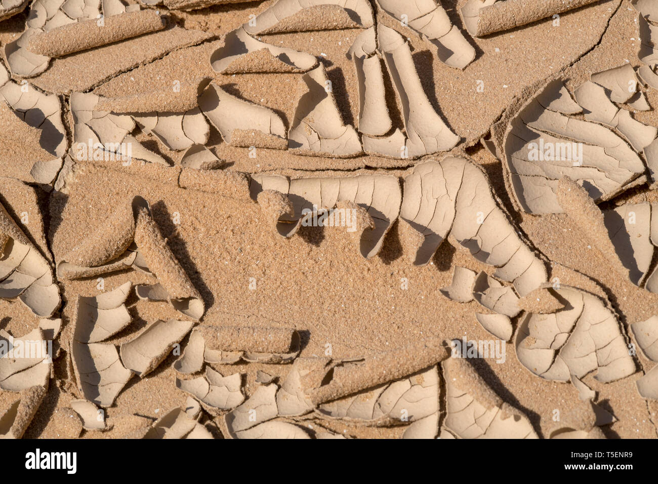 environmental concept, Water shortage and drought Dry cracked mud ...