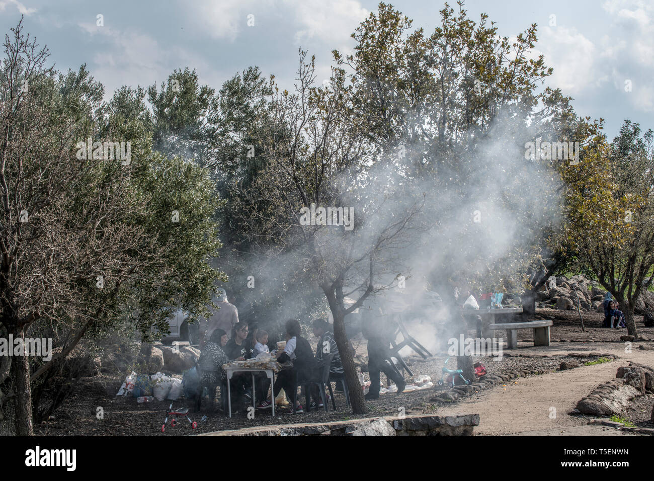 Israel, Golan Heights, Gamla waterfall Nature reserve Stock Photo - Alamy