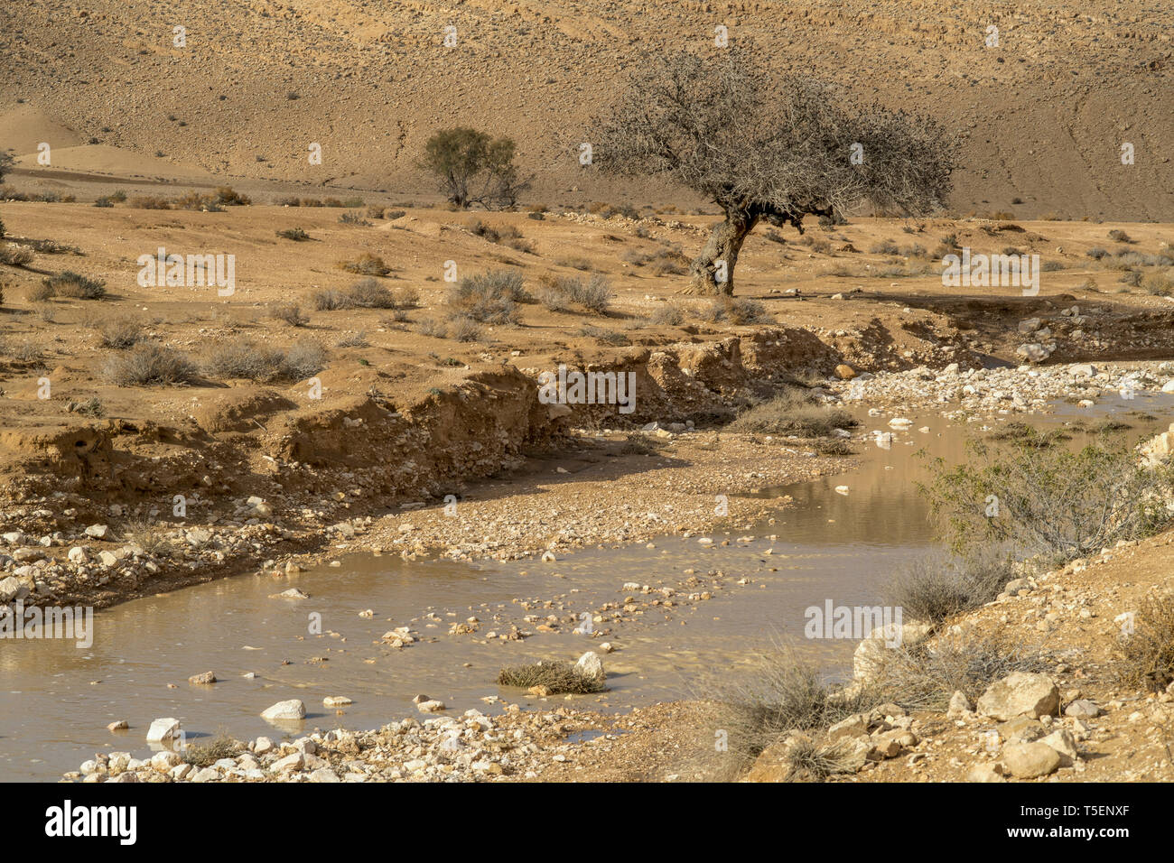 Flash flood debris hi-res stock photography and images - Alamy