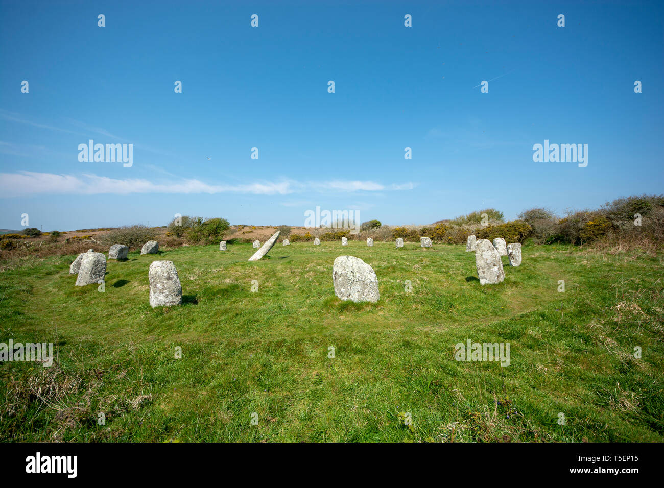 Boscawen un stone circle hi-res stock photography and images - Alamy