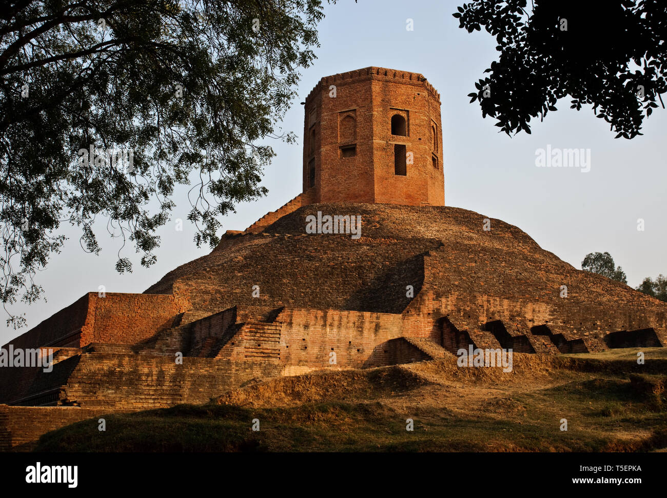 Chaukhandi stupa ( India Stock Photo - Alamy
