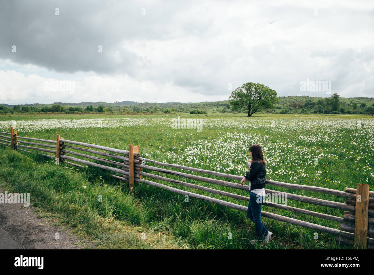 A tourist girl standing near to the fence and looking at flowering wild ...