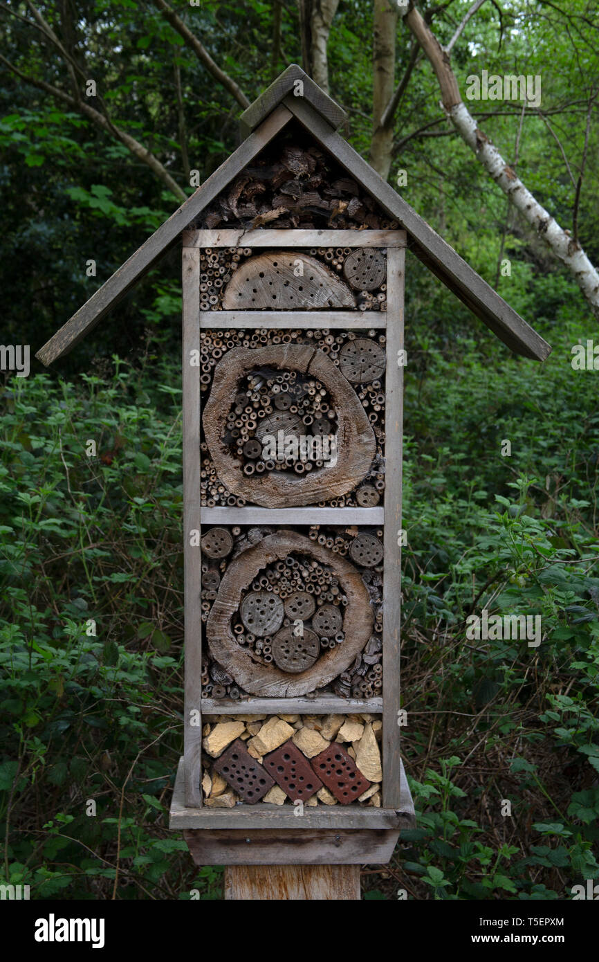 An insect hotel, or bug hotel or insect house, a wooden structure ...