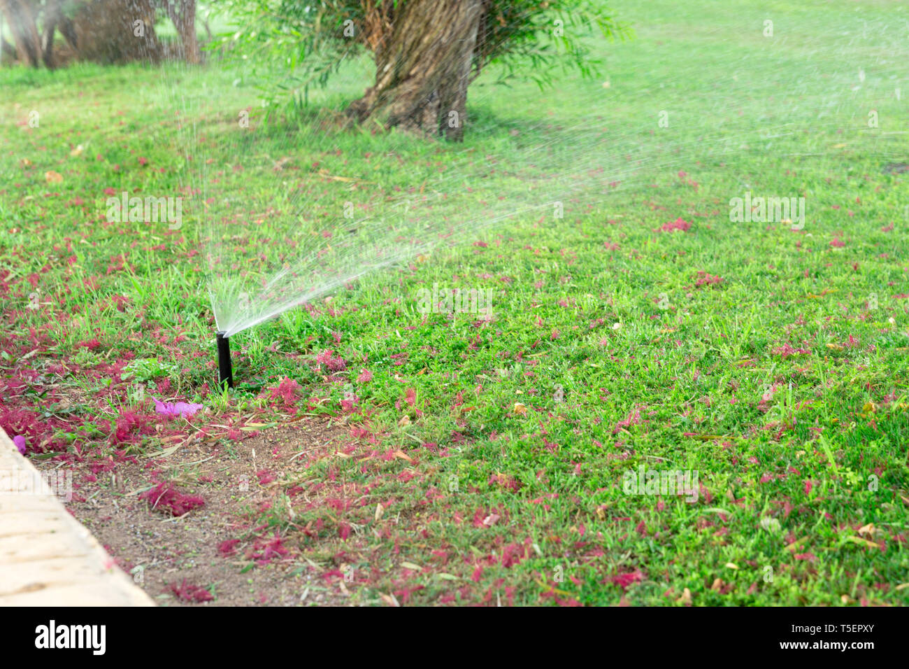 Automatic sprinkler systems hi-res stock photography and images - Alamy