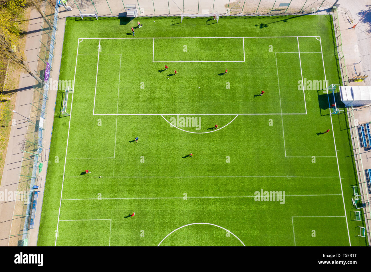 Professional Soccer Field View