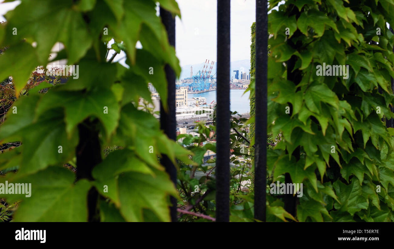 The old medieval town of Genoa, Italy has a special charm with its ...