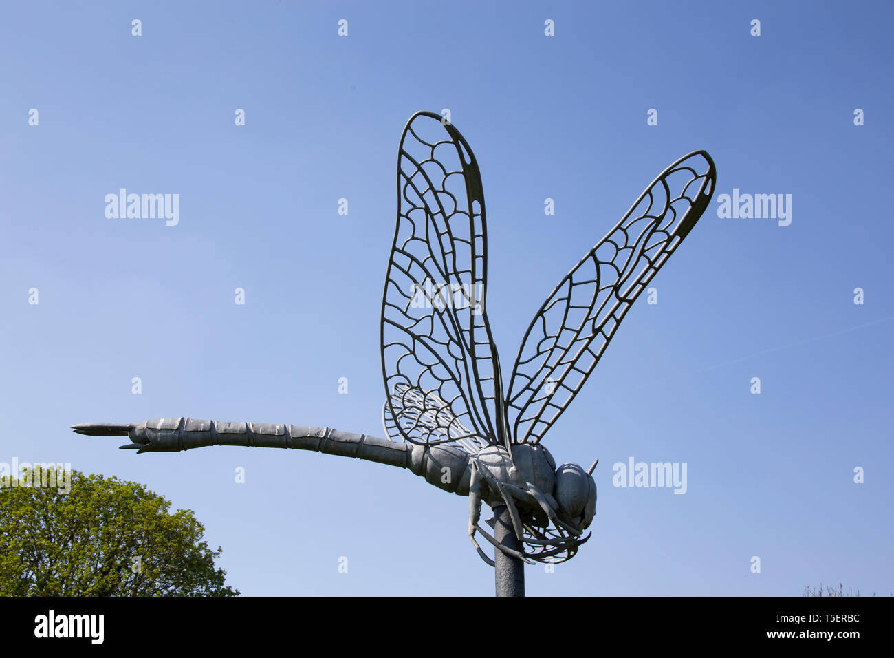 Dragonfly statue hi-res stock photography and images - Alamy