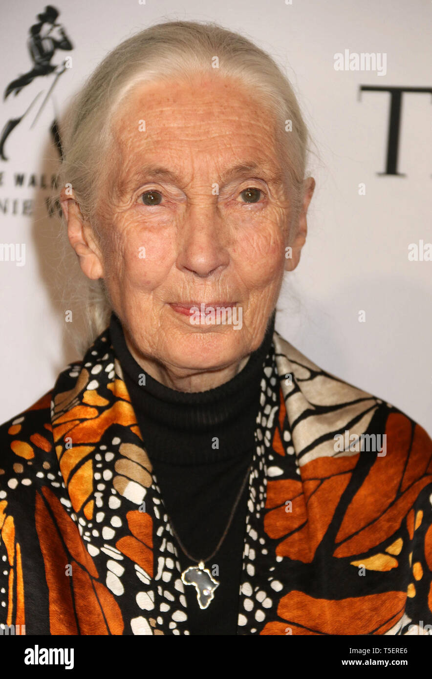April 23, 2019 - New York City, New York, U.S. - JANE GOODALL attends ...
