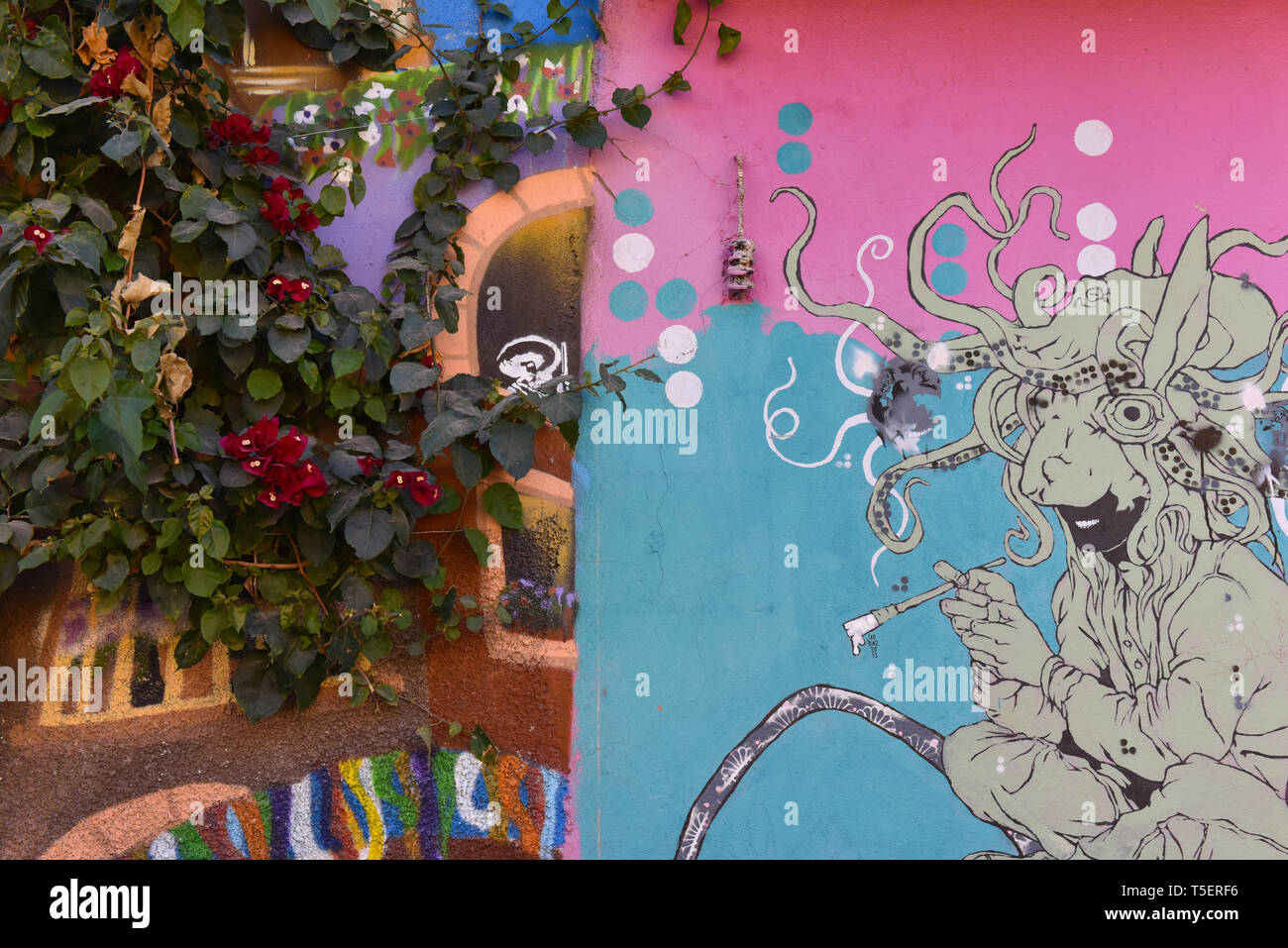 Colonia Guadelupe is the artistic neighbourhood of San Miguel de ...