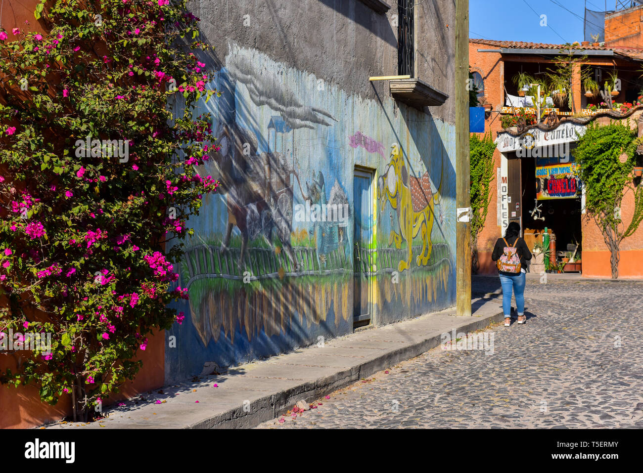 Colonia Guadelupe is the artistic neighbourhood of San Miguel de ...
