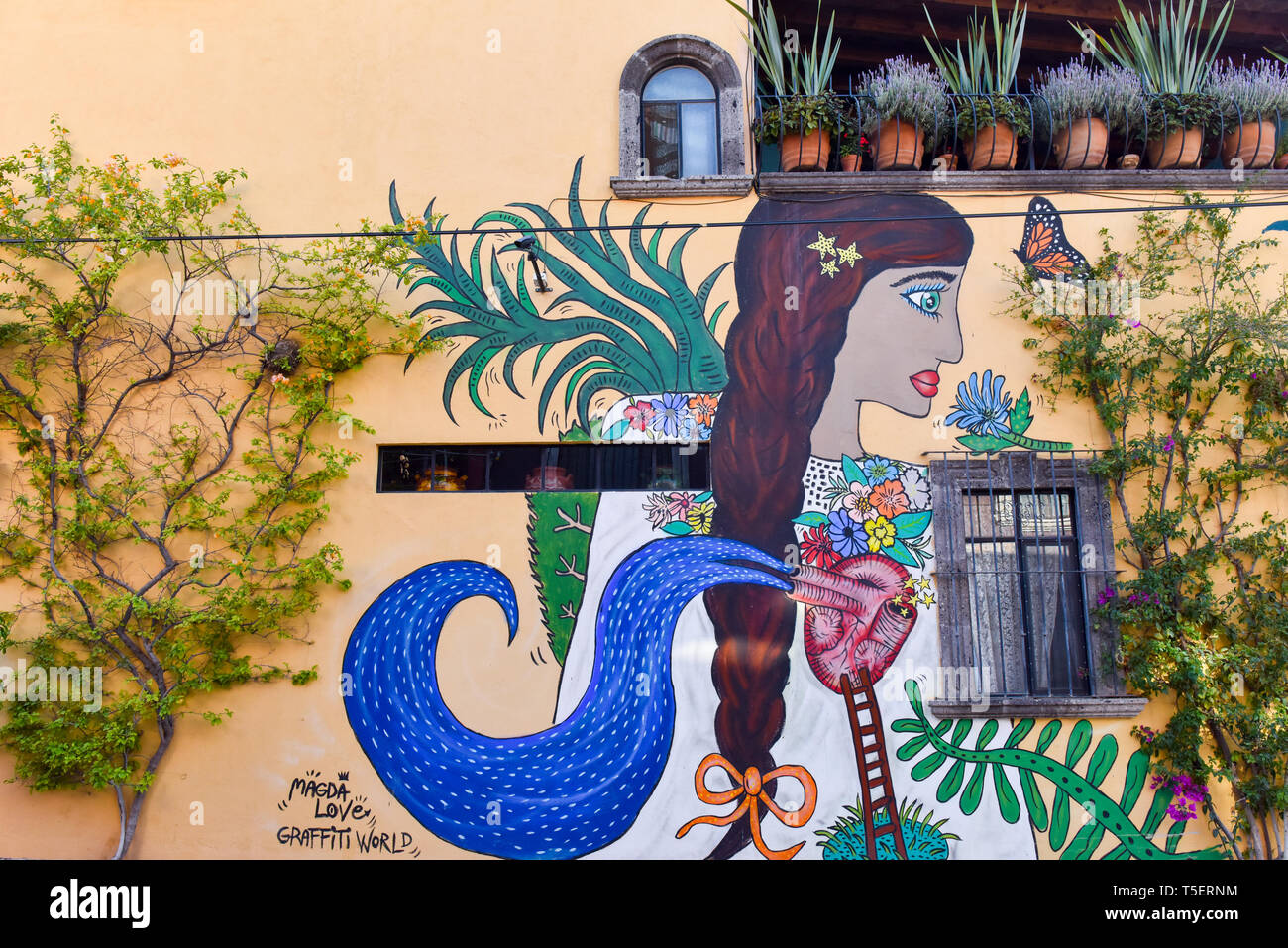Colonia Guadelupe is the artistic neighbourhood of San Miguel de ...