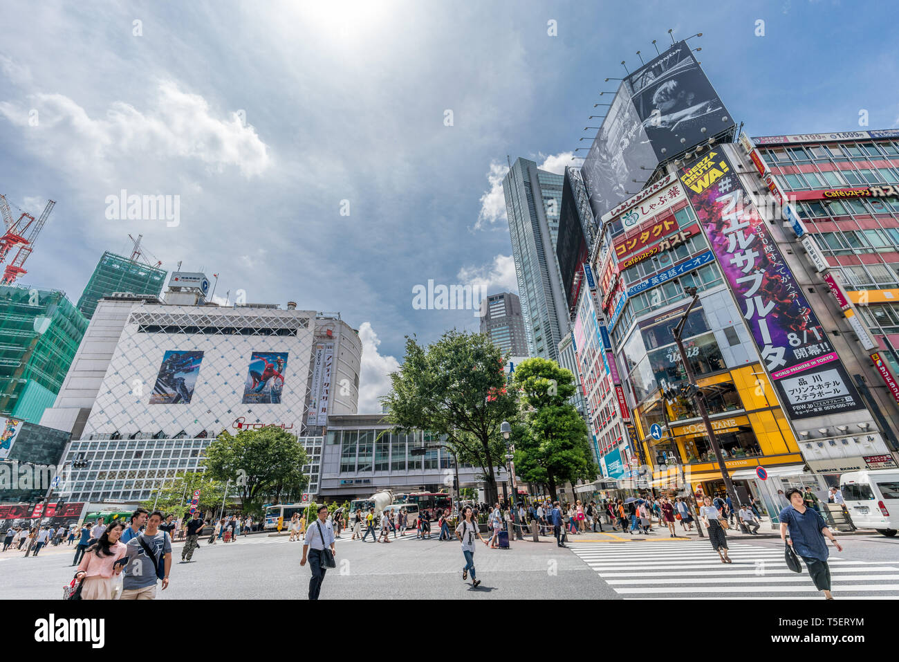 Shibuya - Tokyo, August 07, 2017 : Pedestrian cross at Shibuya Crossing ...