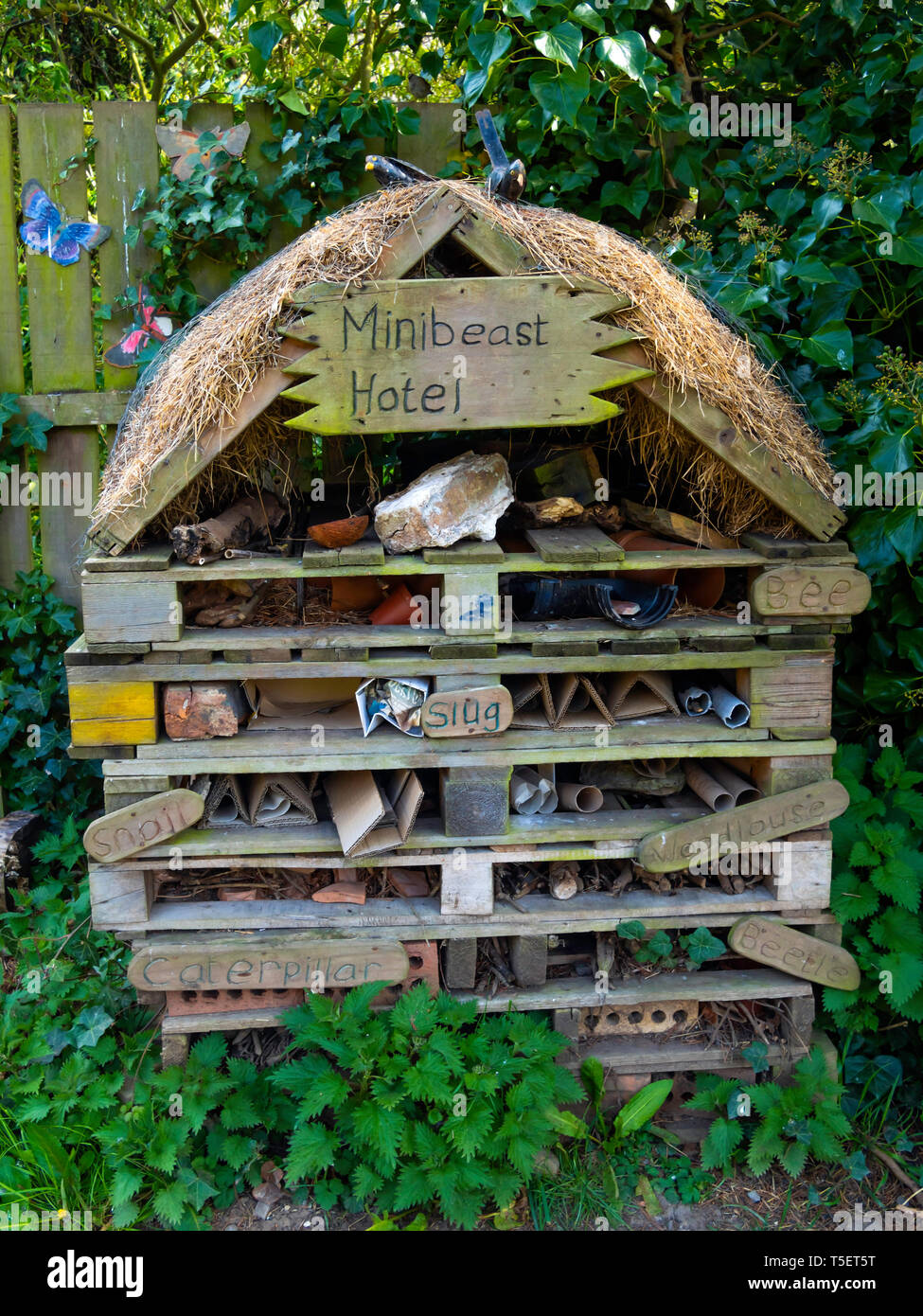 Bug house hi-res stock photography and images - Alamy