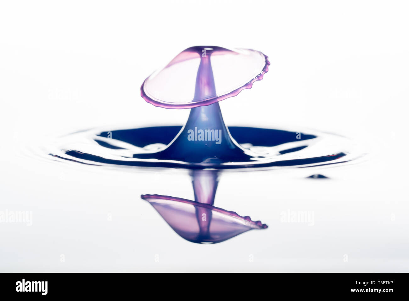 Water splash drops hi-res stock photography and images - Alamy