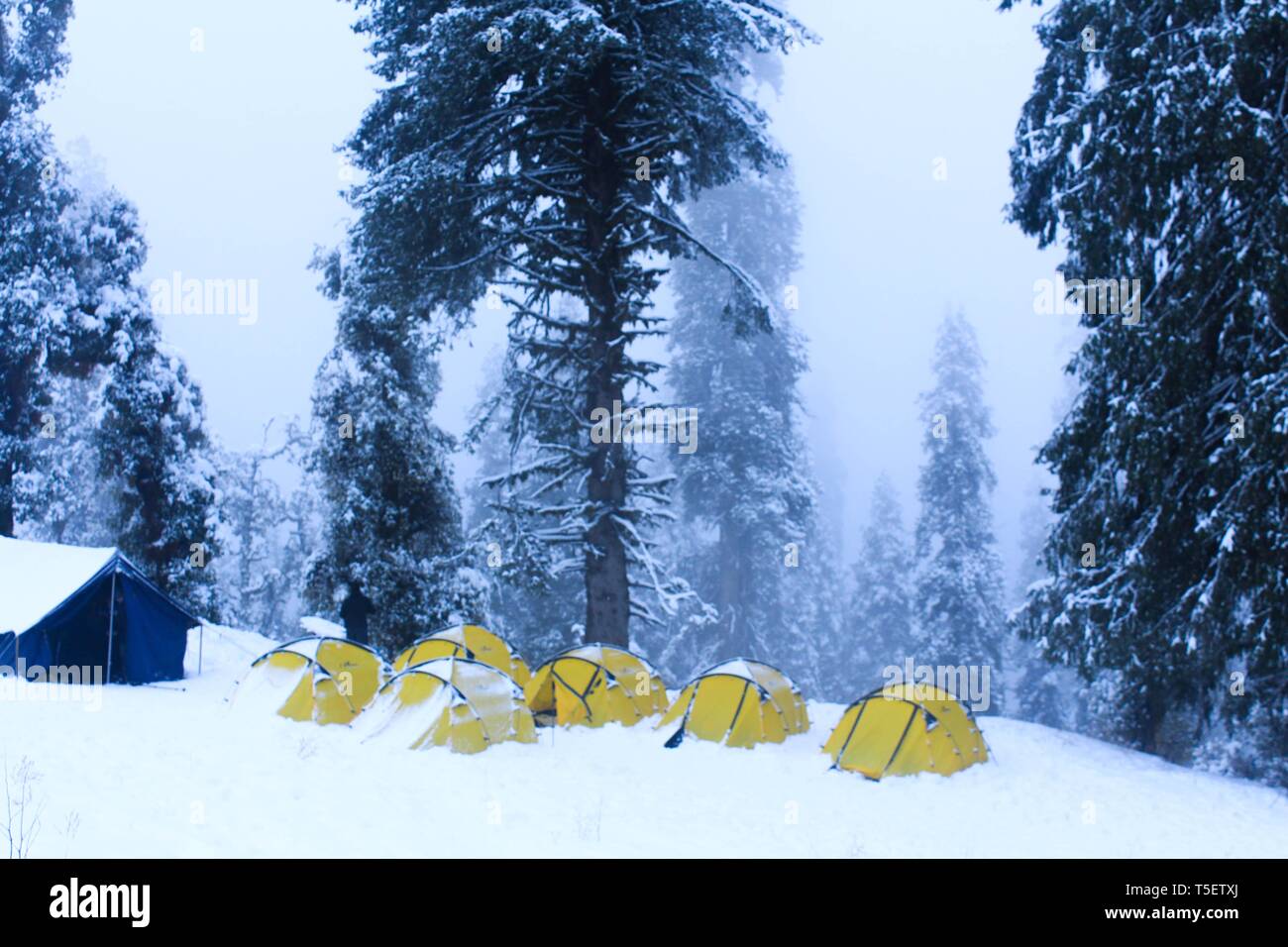 A camp in a forest during winter Stock Photo - Alamy