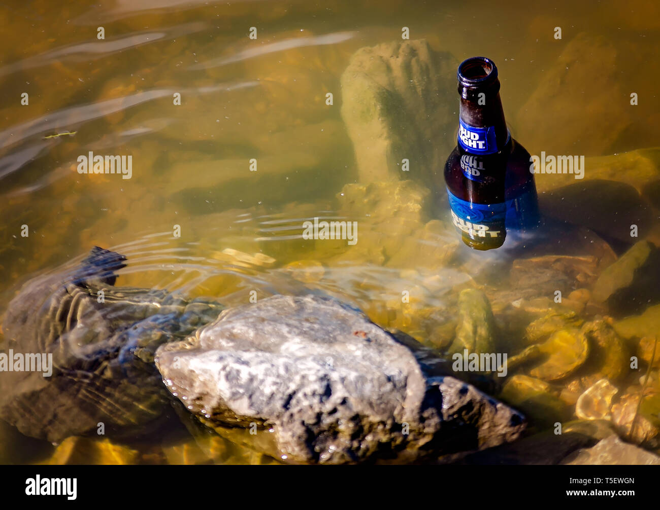Bud light bottle hi-res stock photography and images - Alamy