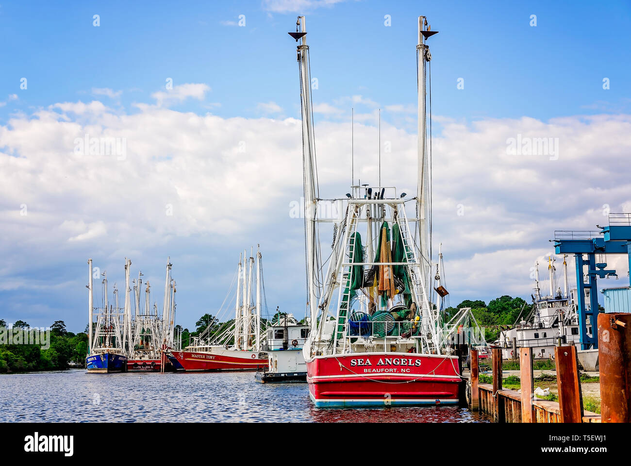 Shrimp boats, including Sea Angels and Master Tony, are docked along ...