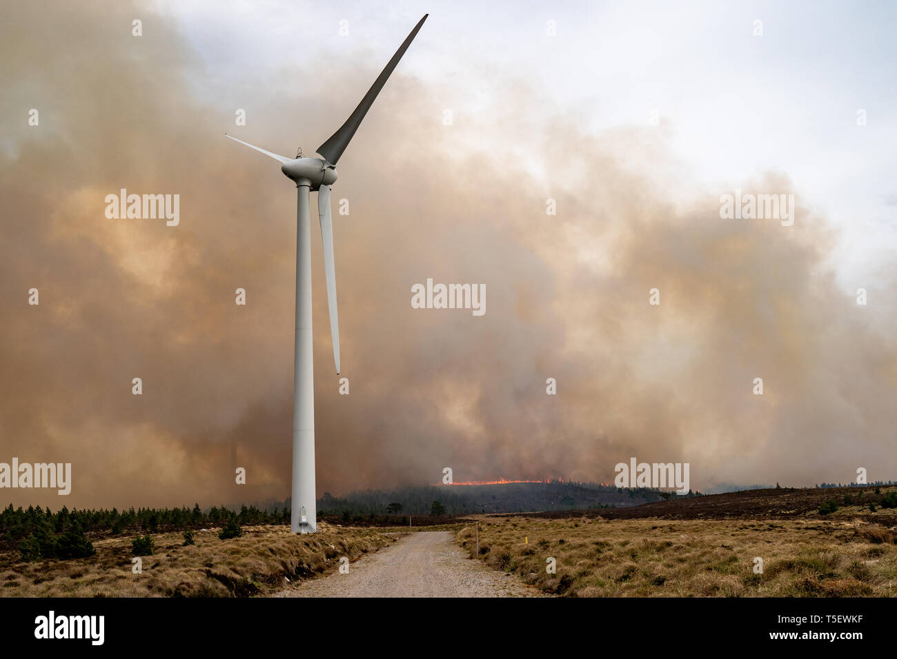 Dava moor hi-res stock photography and images - Alamy