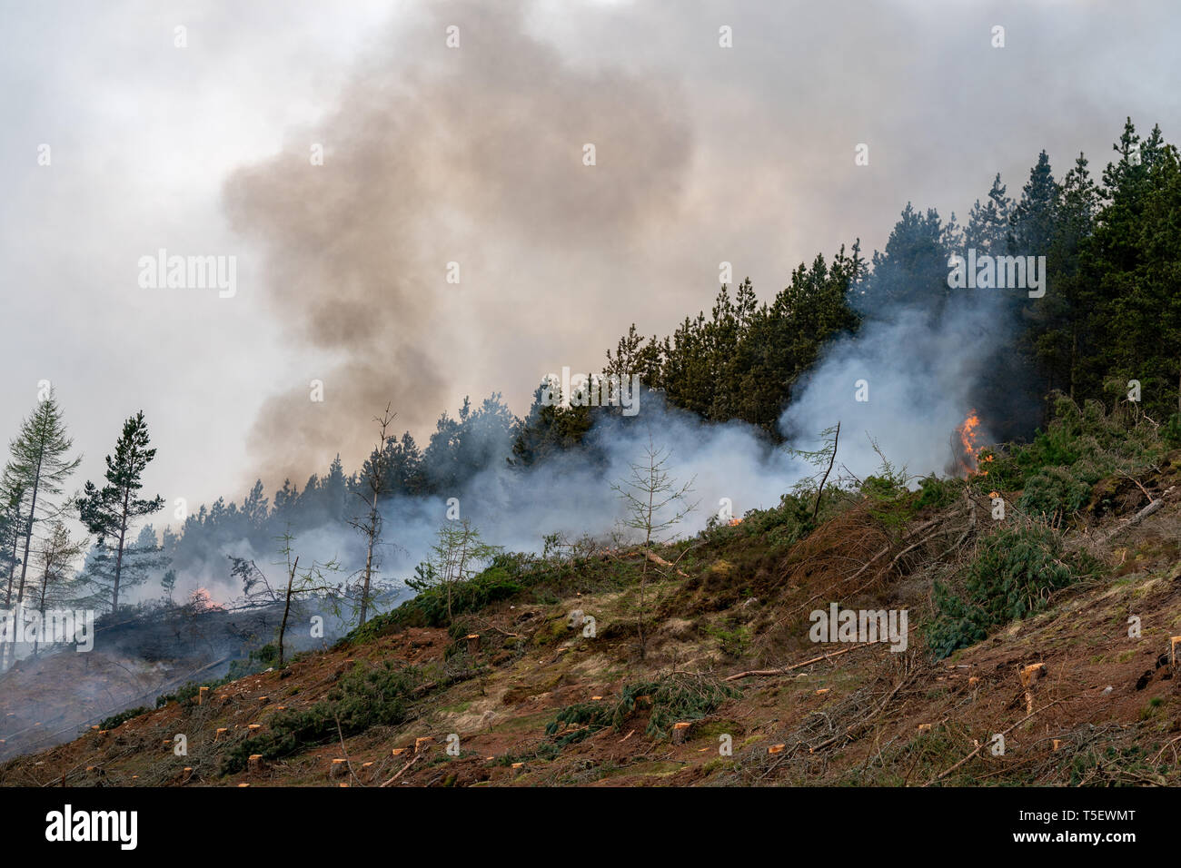 Wildfire scotland 2019 hi-res stock photography and images - Alamy