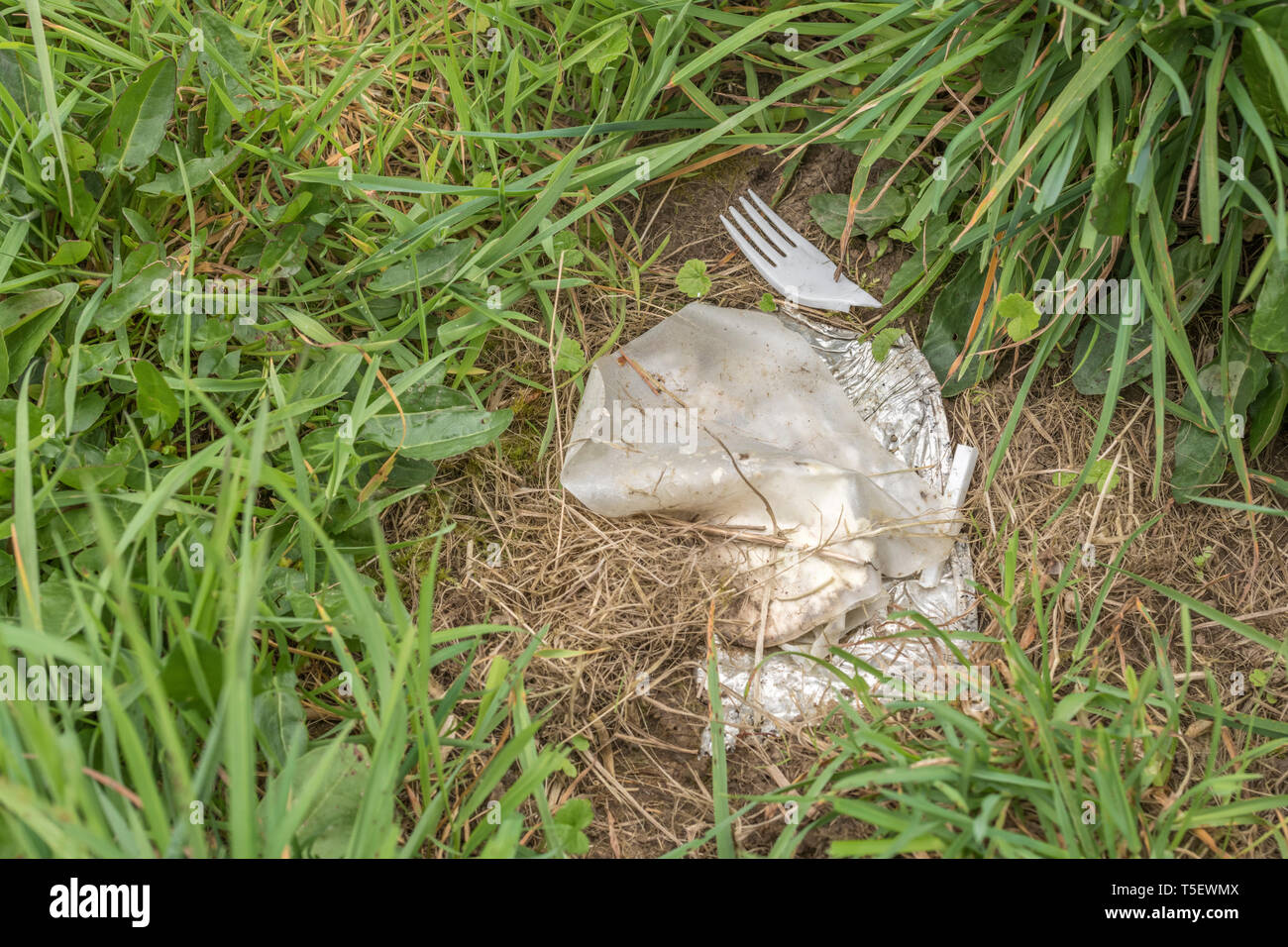 Discarded plastic takeaway fork litter among long grass. Metaphor ...