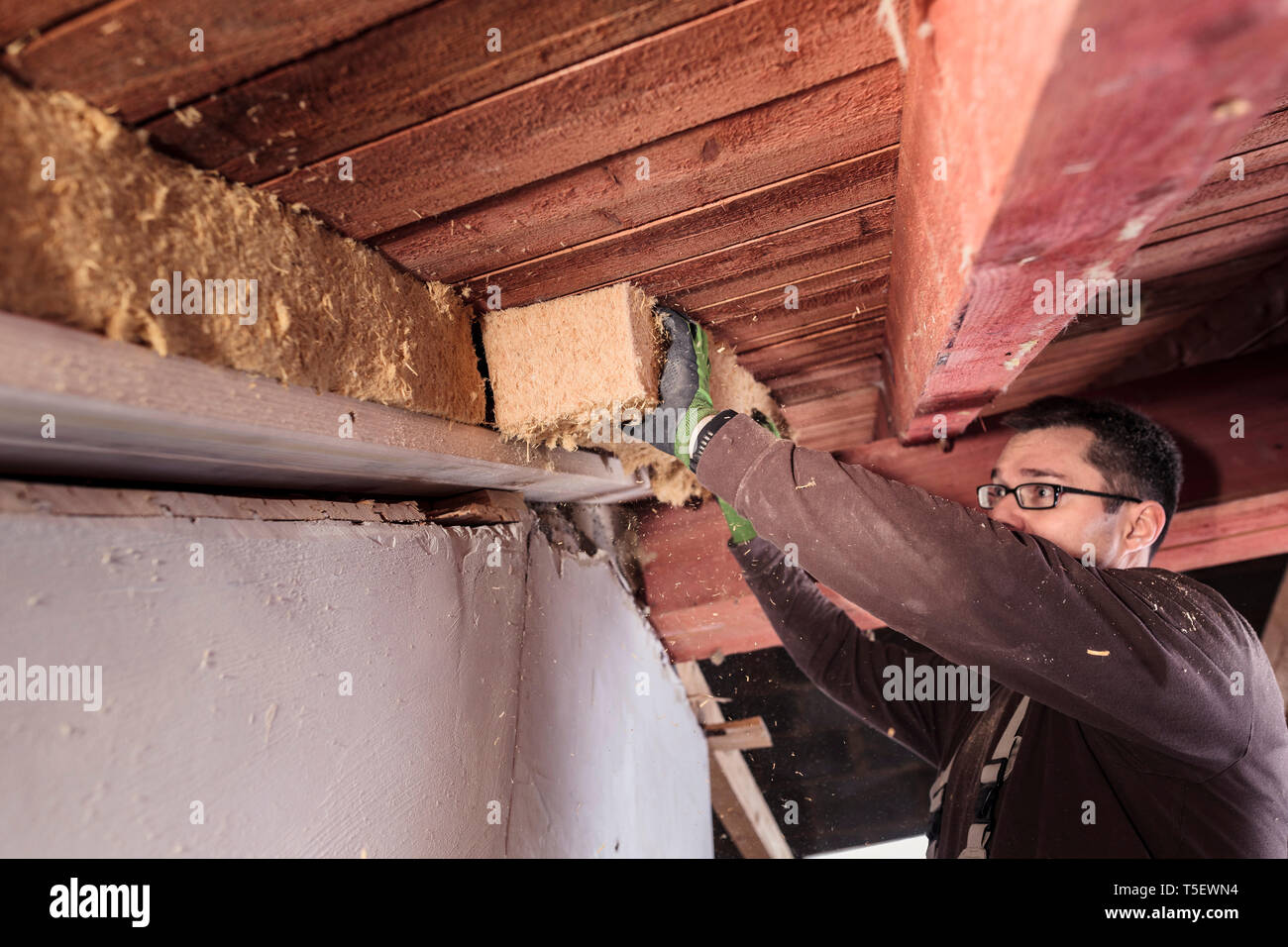 Roof insulation, worker filling pitched roof with wood fibre insulation ...