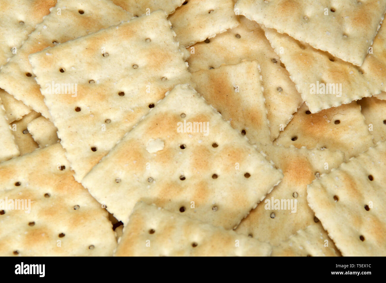 Close up saltine soda cracker hi-res stock photography and images - Alamy