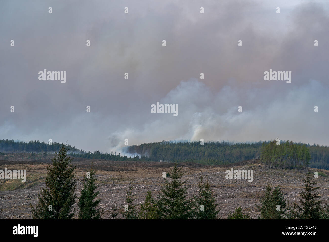 Knockando hi-res stock photography and images - Alamy