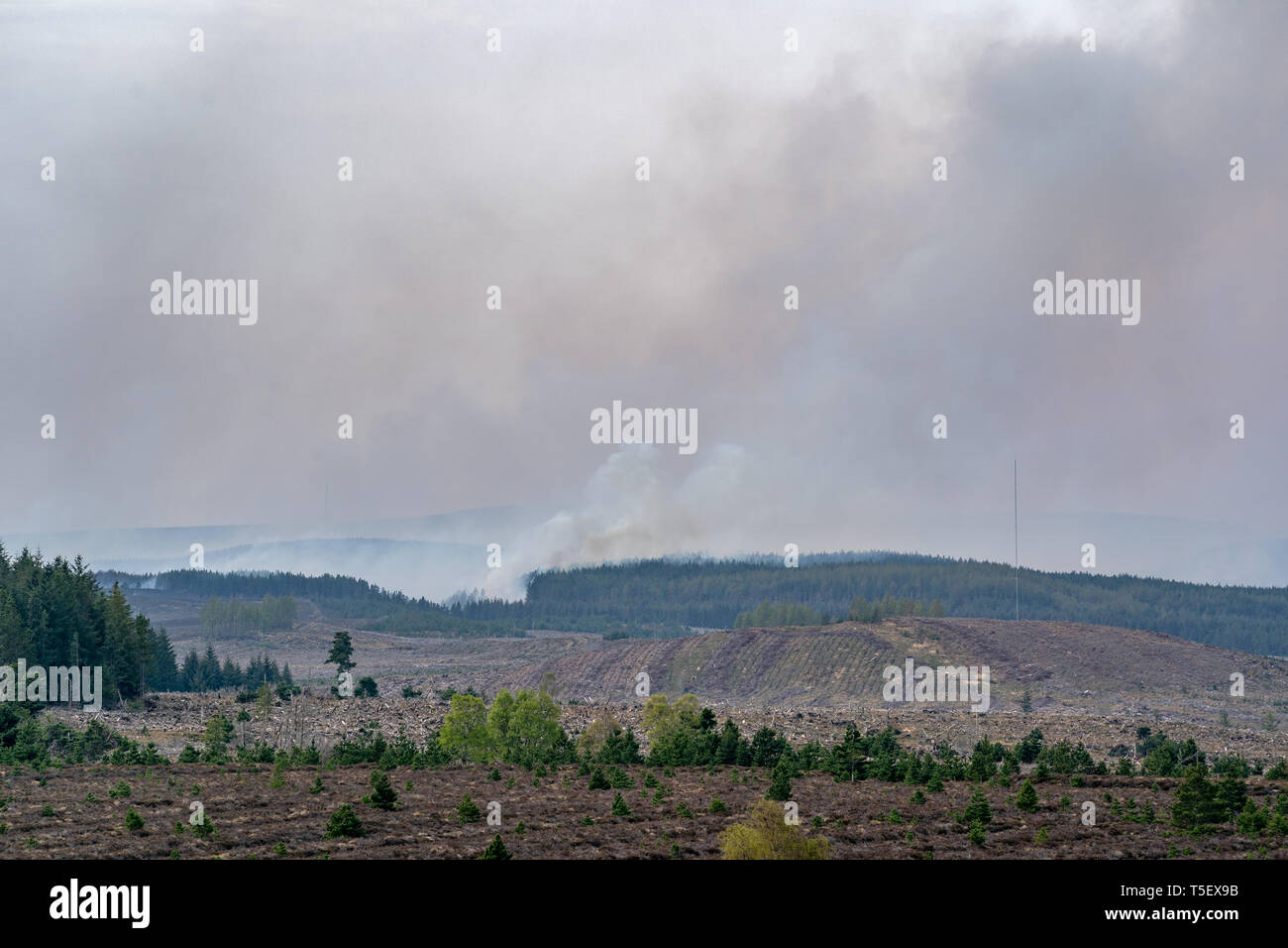 Wildfire scotland 2019 hi-res stock photography and images - Alamy