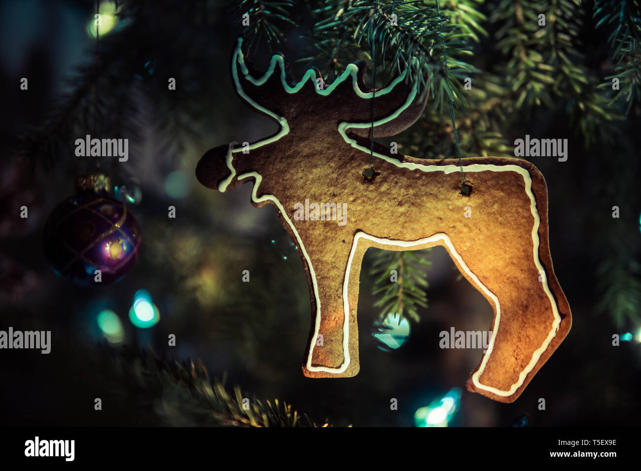 gingerbread reindeer christmas decoration hanging on a tree Stock Photo ...