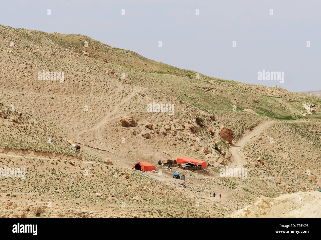 Bedouin settlements in rural Jordan Stock Photo - Alamy