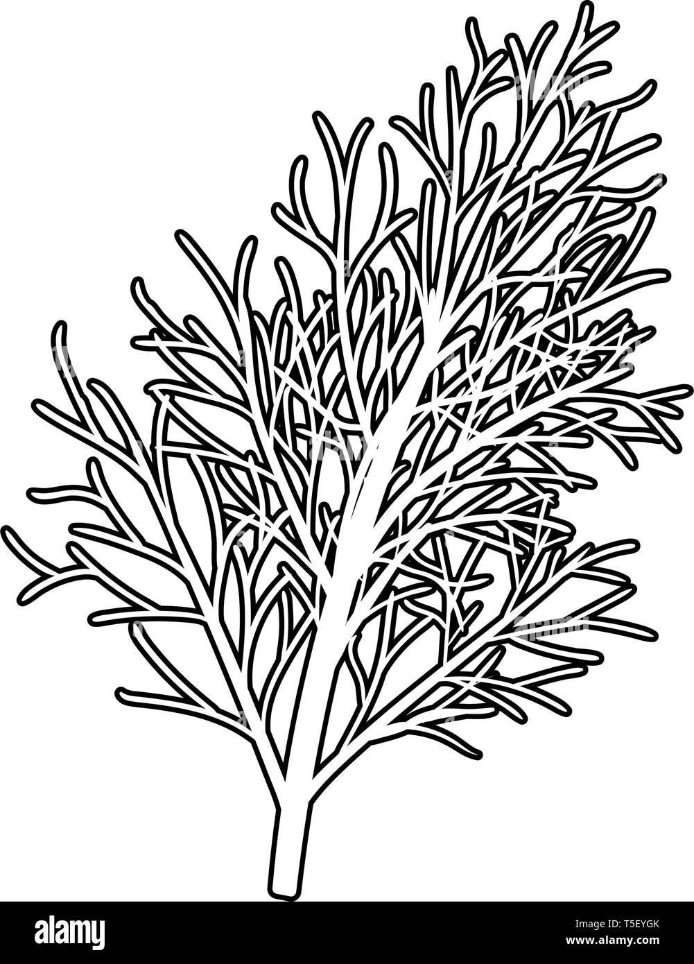 Dill Icon. Thin Line With Orange Fill Design. Vector Illustration Stock ...