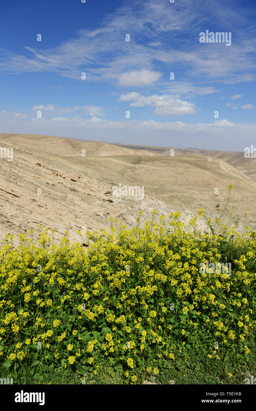 Beautiful landscape around Shobak castle in Jordan Stock Photo - Alamy