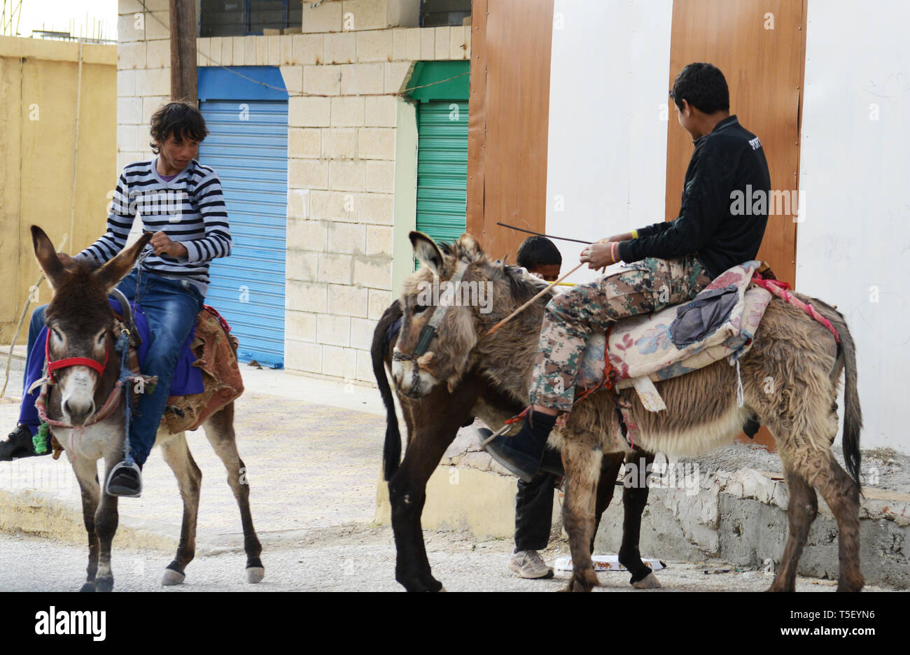 Jordanian men riding their donkeys Stock Photo - Alamy
