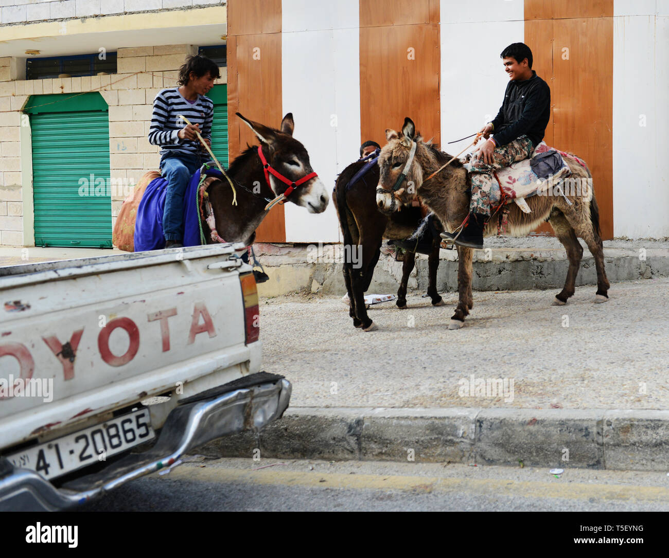 Jordanian men riding their donkeys Stock Photo - Alamy
