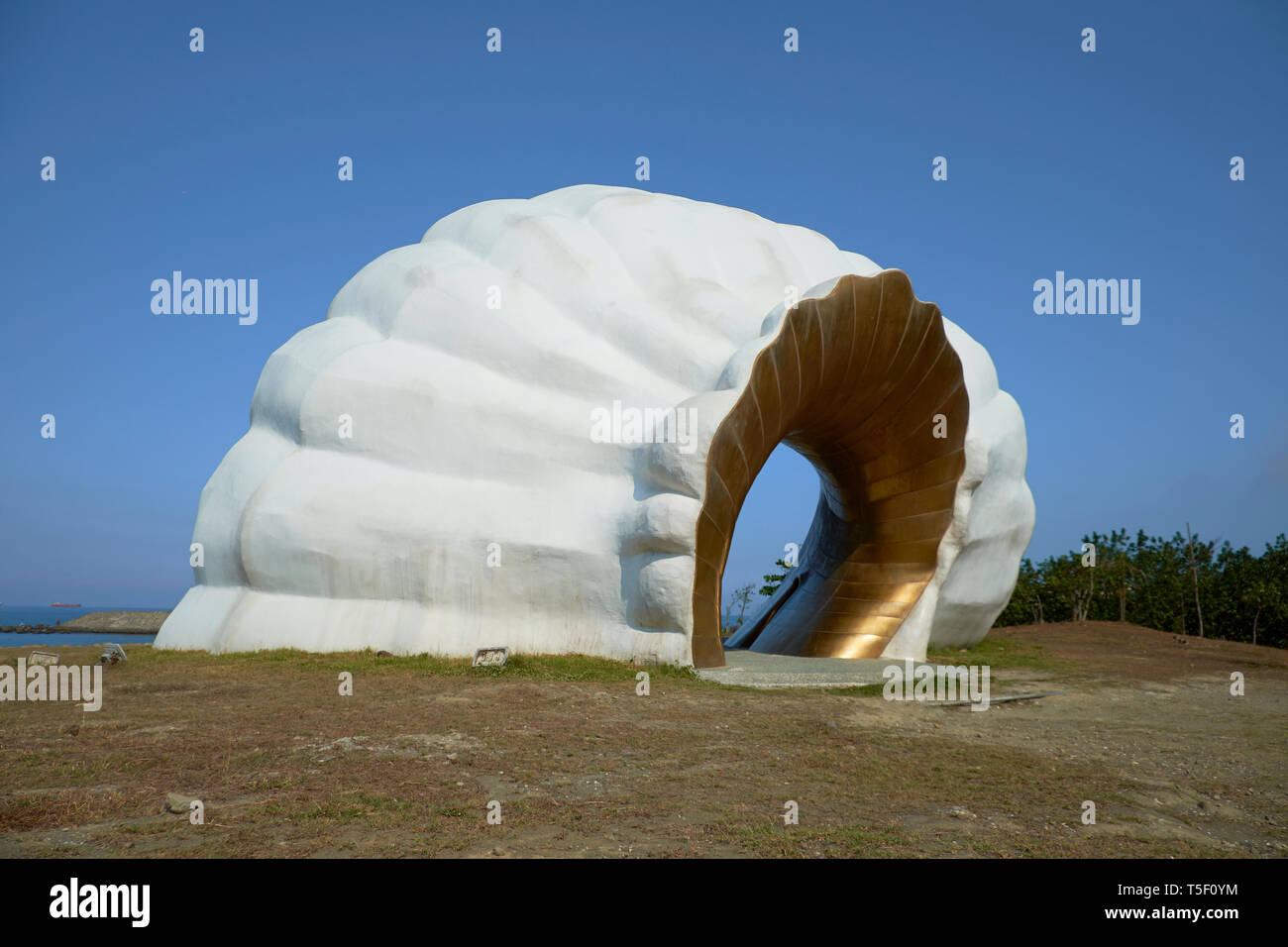 A large shell sculpture, shiny gold on the inside, whitewashed on the ...