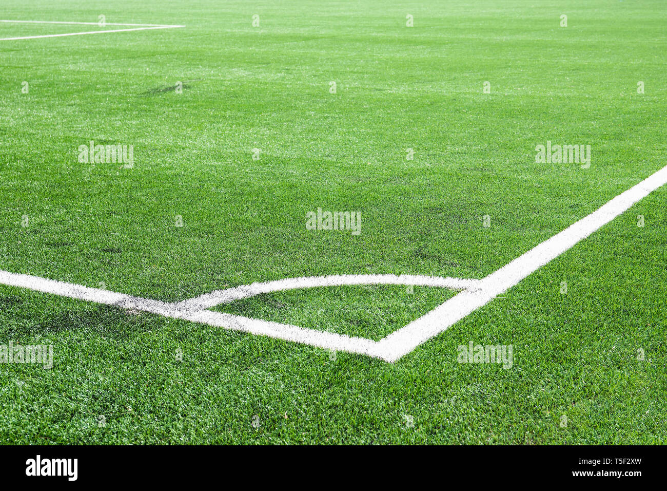 White line corner on the green soccer field Stock Photo - Alamy