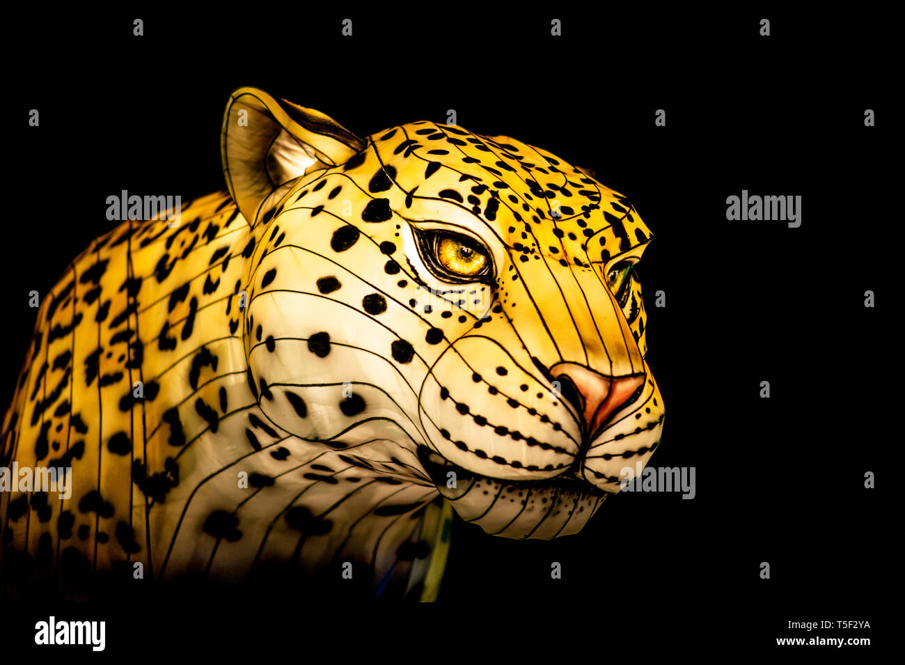 Longleat chinese lantern festival hi-res stock photography and images ...