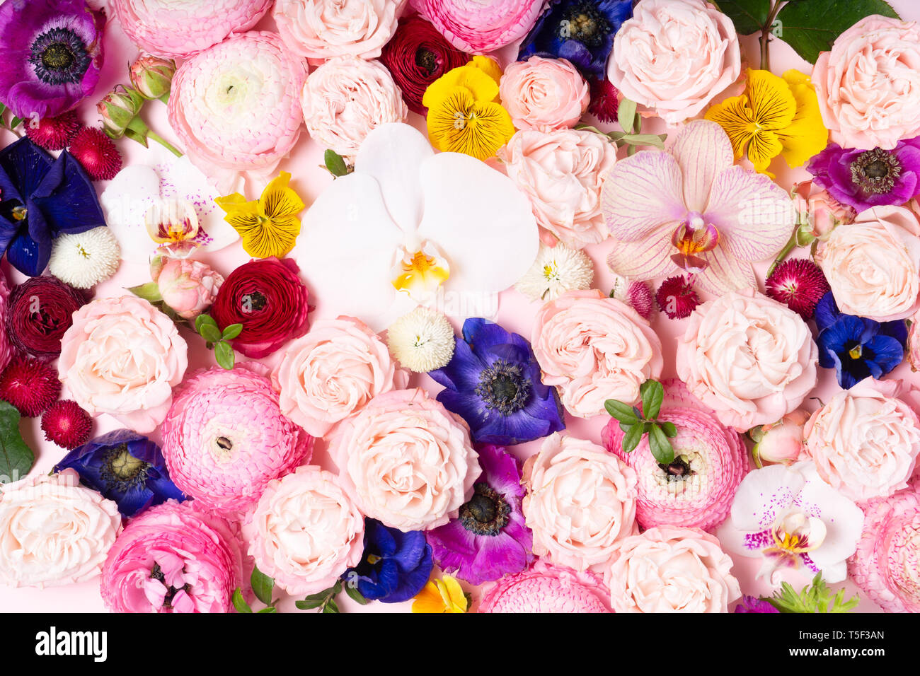 Flowers flat lay composition Stock Photo - Alamy
