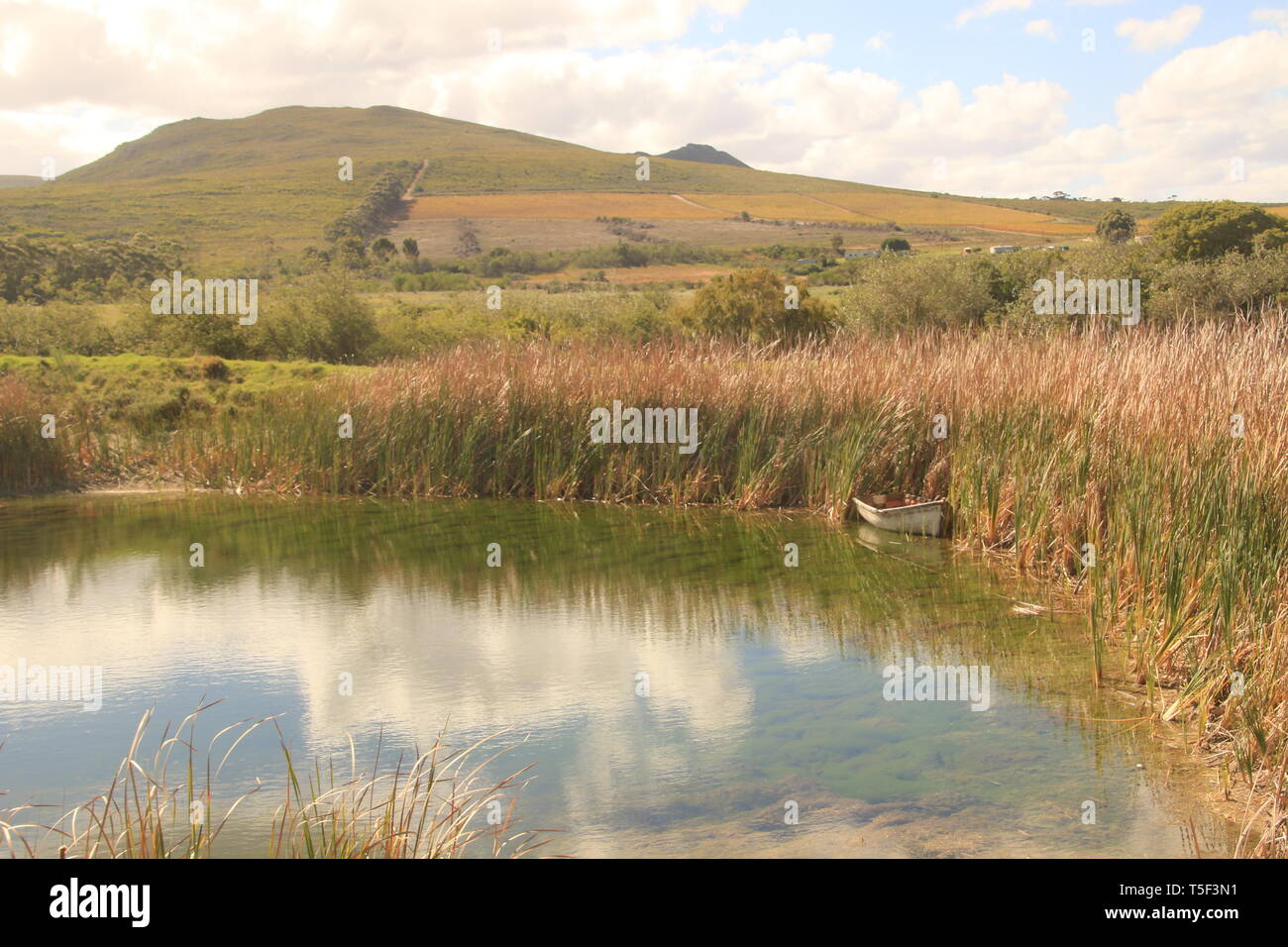 Peaceful country scene hi-res stock photography and images - Alamy