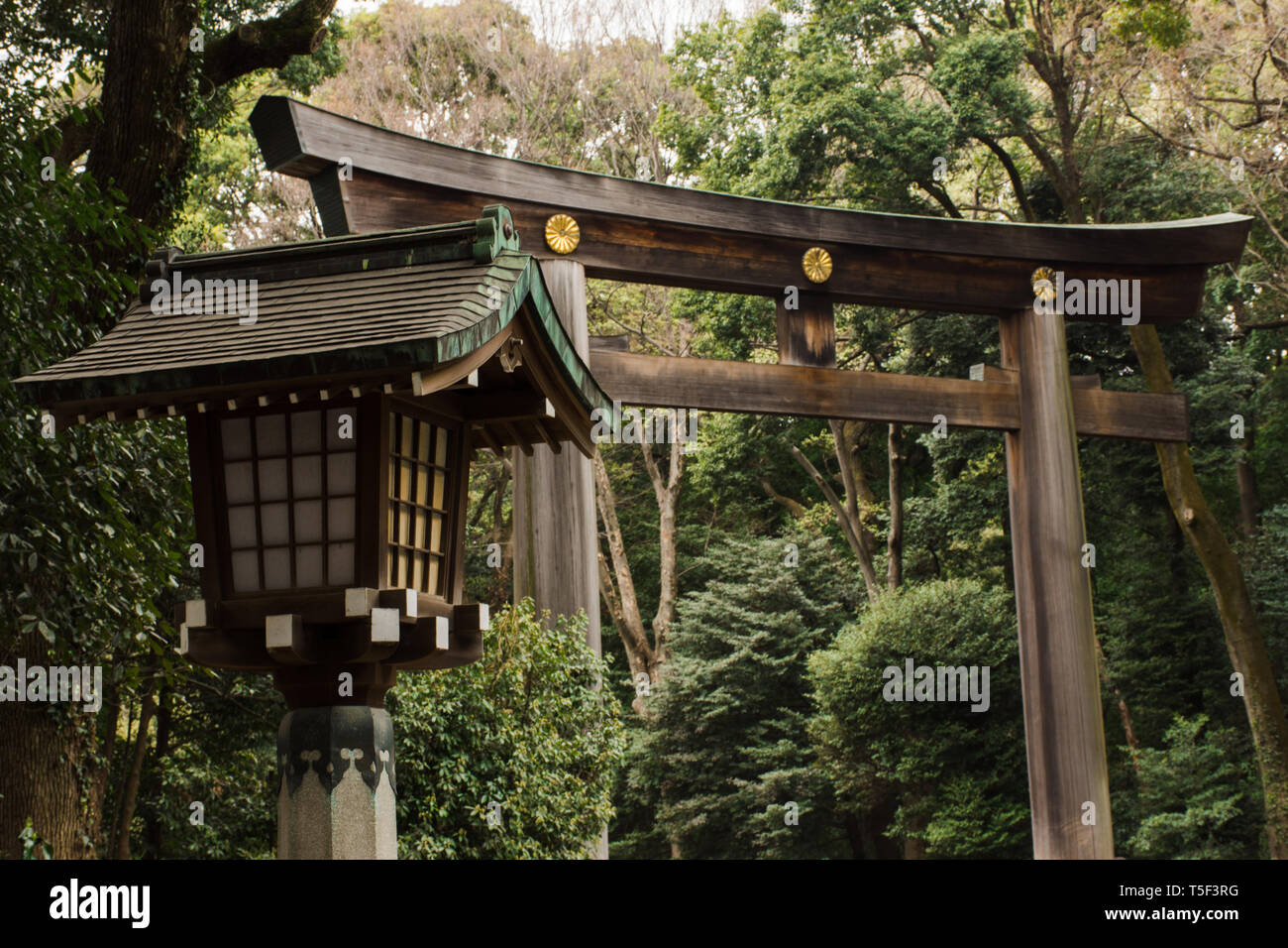 Meiji jingu hi-res stock photography and images - Alamy