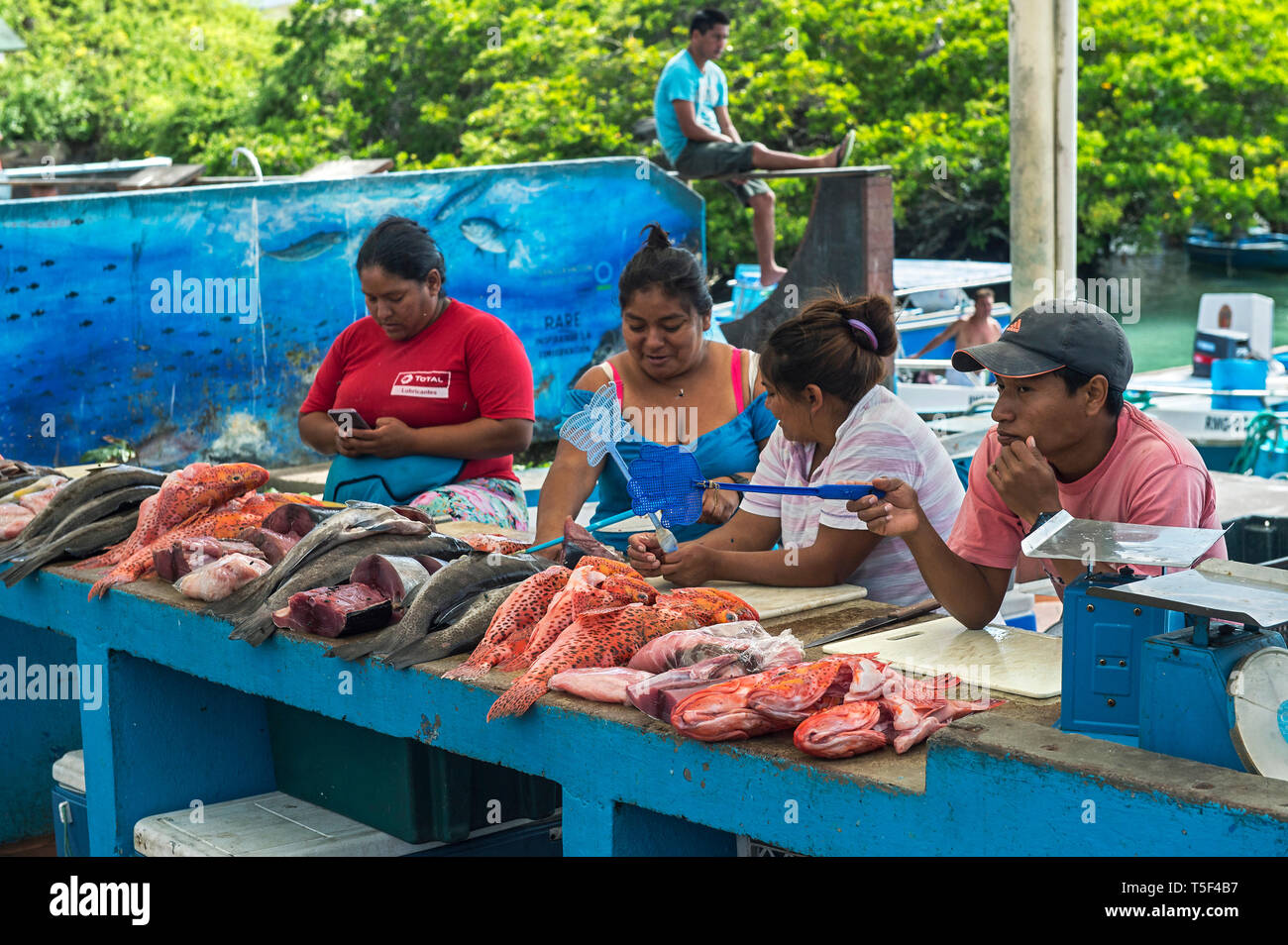 Fish sellers presenting the catch of the day, fish market, Puerto Ayuro ...