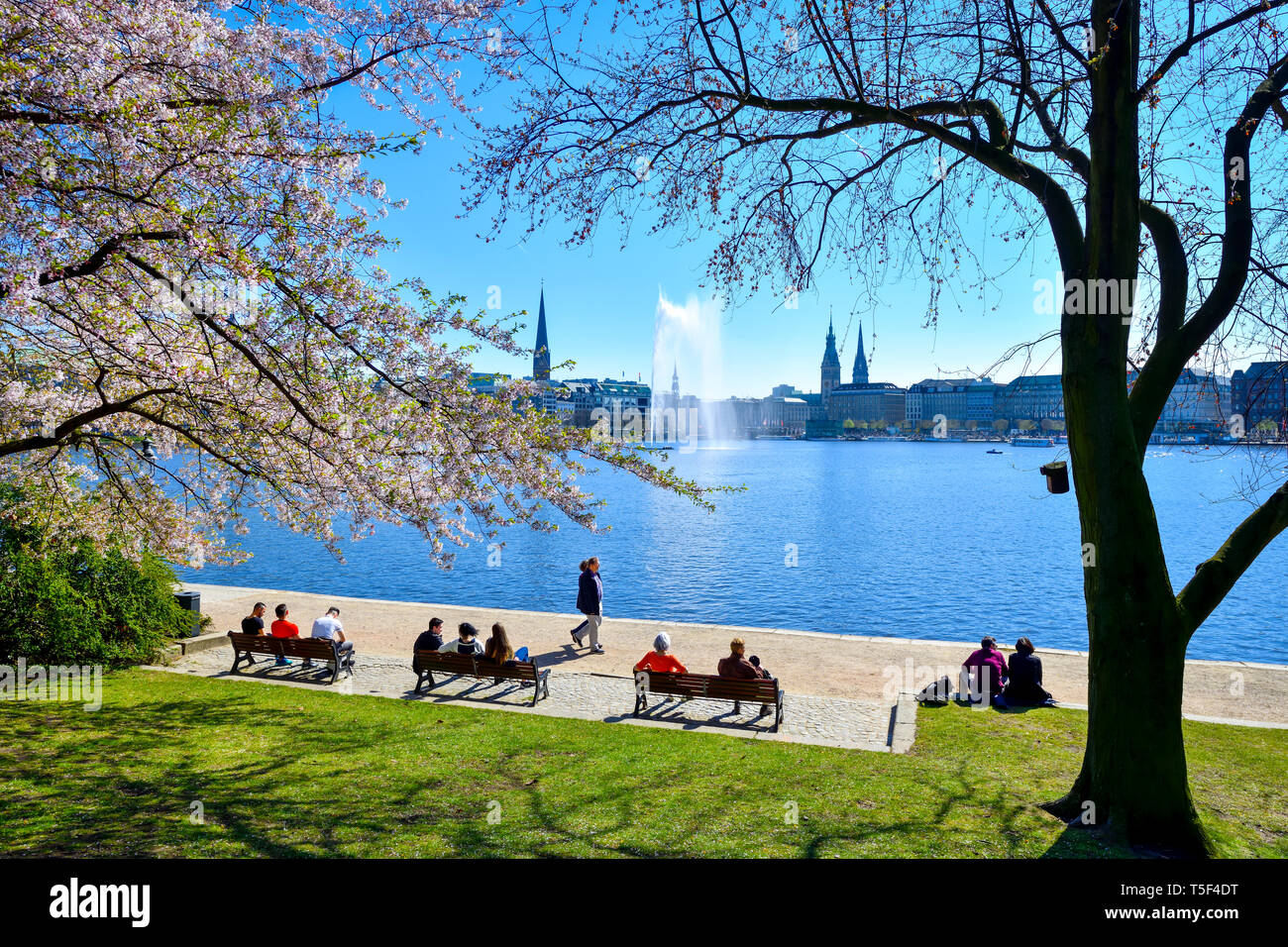 Alster shore in hamburg hi-res stock photography and images - Alamy