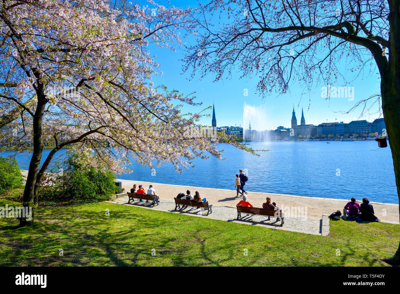 Hamburg alster lake hi-res stock photography and images - Alamy