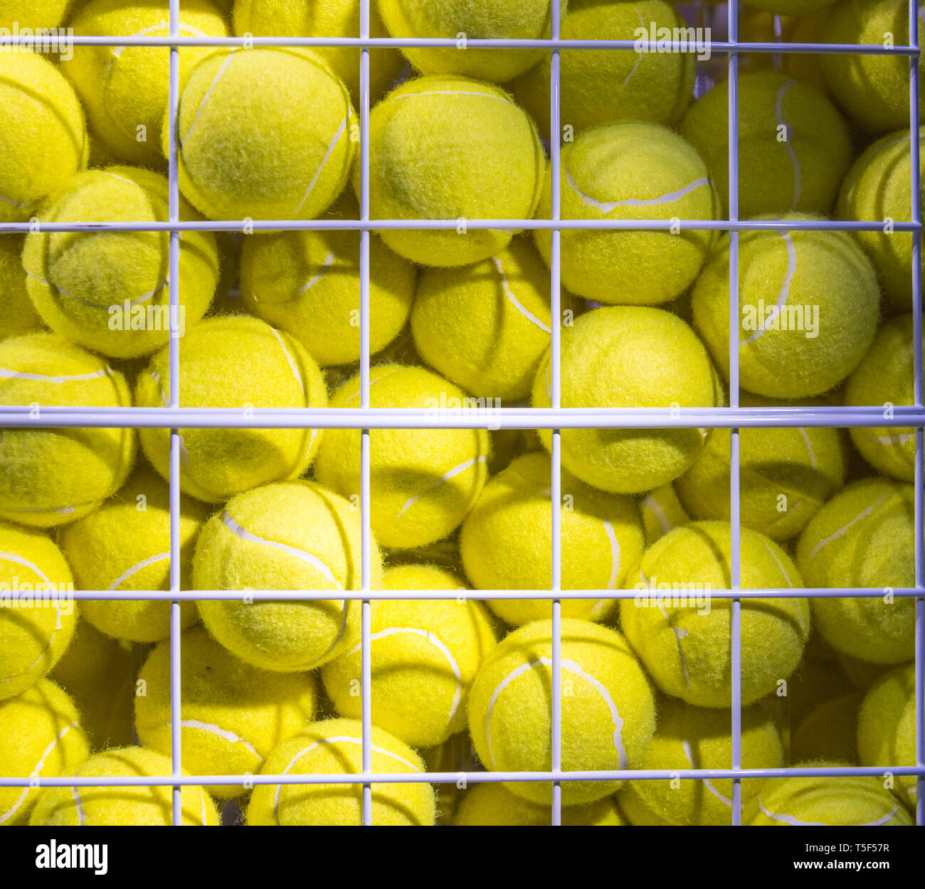 Bright Fluorescent Yellow Tennis Balls in metal Mesh Cage Stock Photo ...