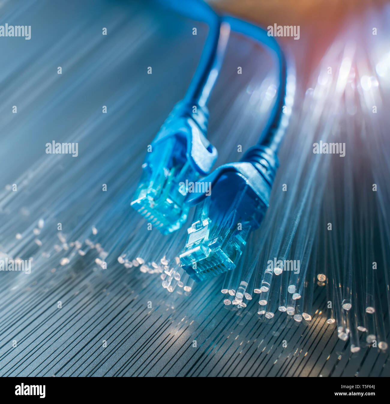 network cables with fiber optical background Stock Photo - Alamy