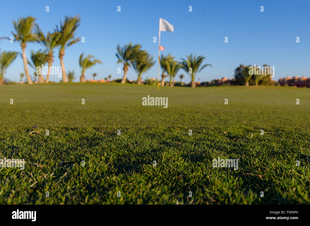 Golf course at sunset Stock Photo - Alamy