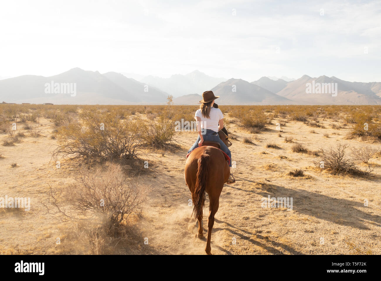 Girl Riding Horse High Resolution Stock Photography and Images - Alamy